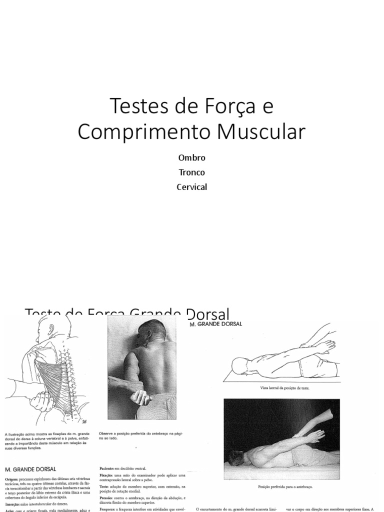 Teste de Força e Comprimento Muscular - Ombro Tronco Cerv | PDF