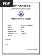 Drug Abuse Project Report For Class 12 by Devansh Yadav | PDF ...