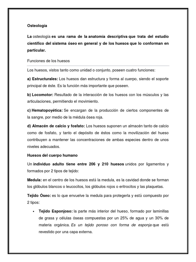 Estudio del Sistema Óseo Humano | PDF | Cráneo | La columna vertebral