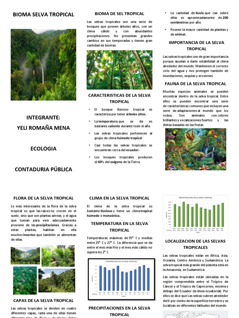Plantilla De Folleto Sobre Biomas