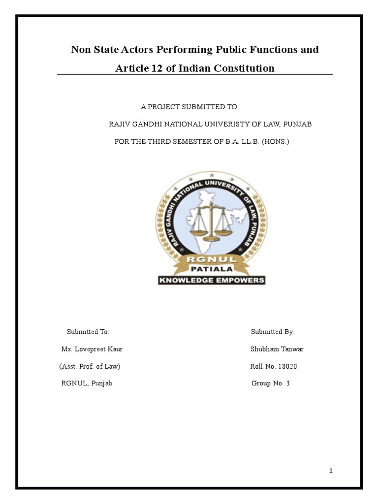 Non State Actors | PDF | Non Governmental Organization | Rights