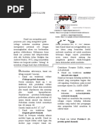 OBAT GOLONGAN CALCIUM CHANEL BLOCKER (CCB) | PDF