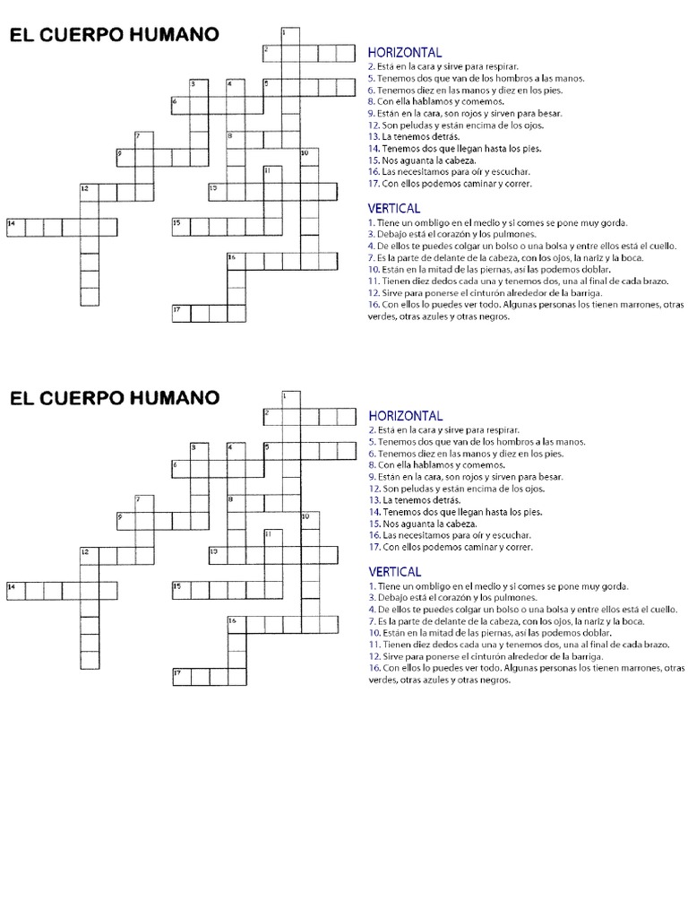 Crucigrama Corpo Humano | PDF