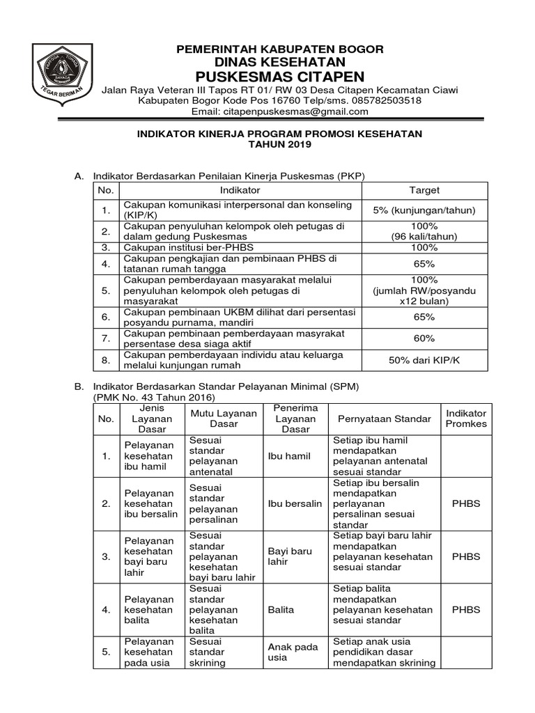 4.3.1.1.b Indikator Dan Target Program Promkes Dari Dinas Kesehatan | PDF