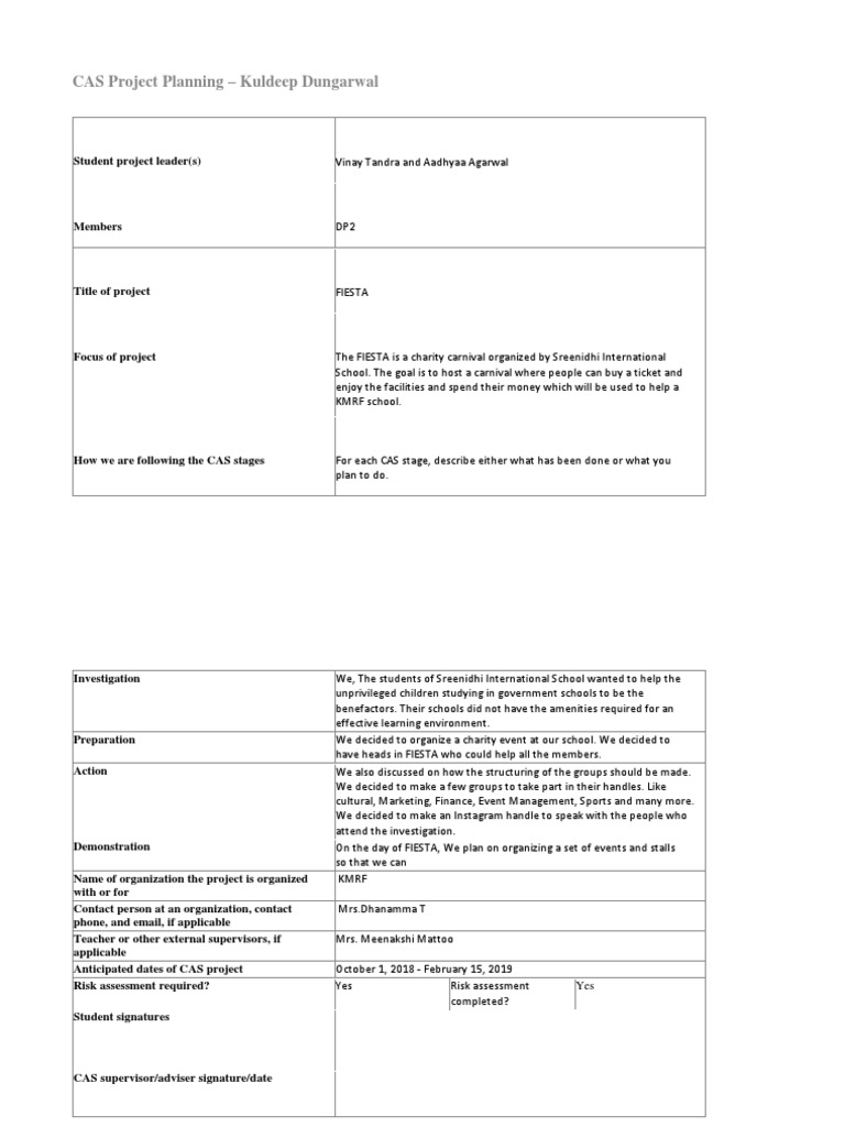 Cas Project-Proposal | Download Free PDF | Business