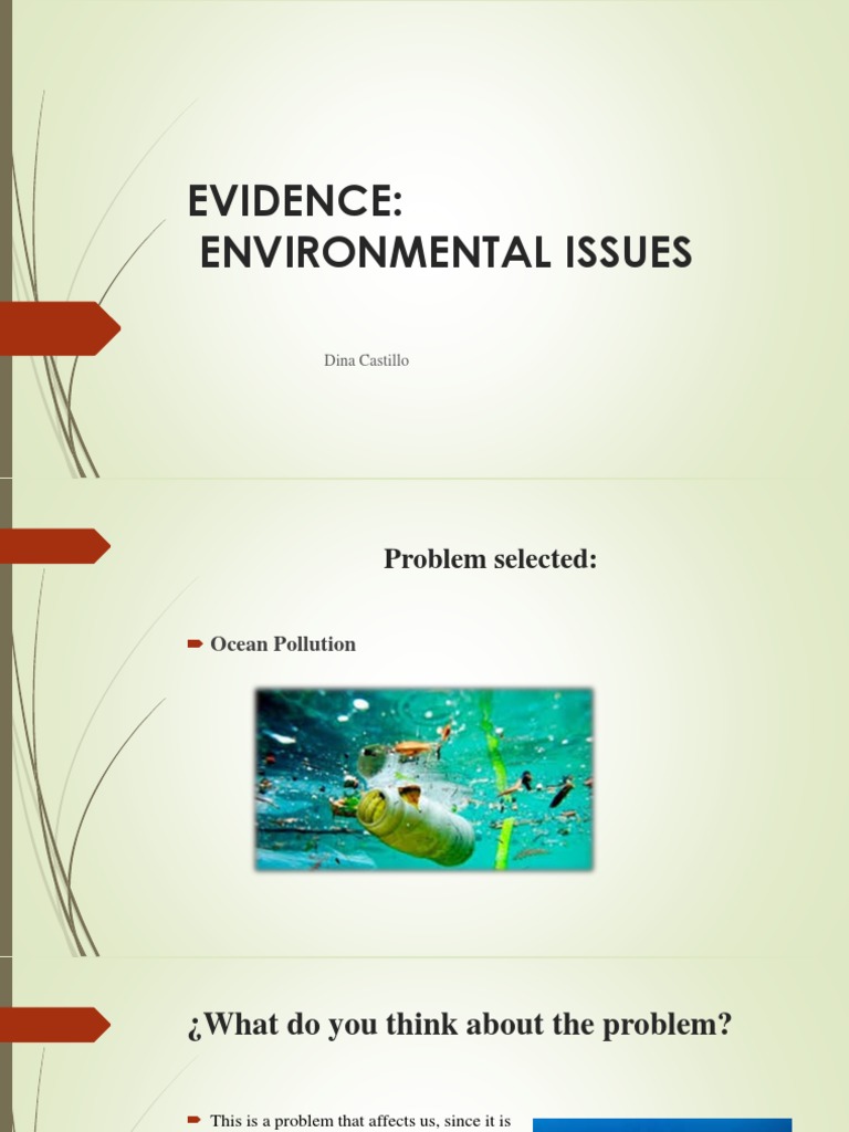 Evidence: Environmental Issues: Dina Castillo | PDF | Pollution ...