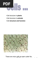Learner's Book Answers: Unit 1 Cells | PDF | Tide | Planets