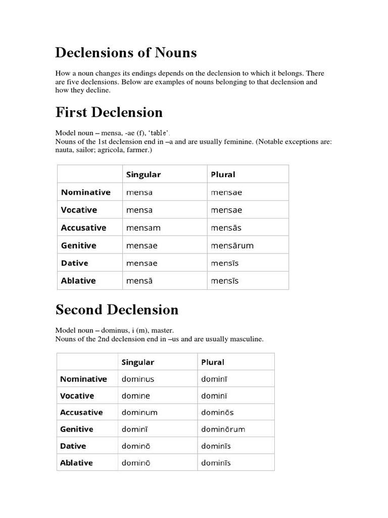 Declensions of Nouns | PDF | Grammatical Gender | Syntactic Relationships