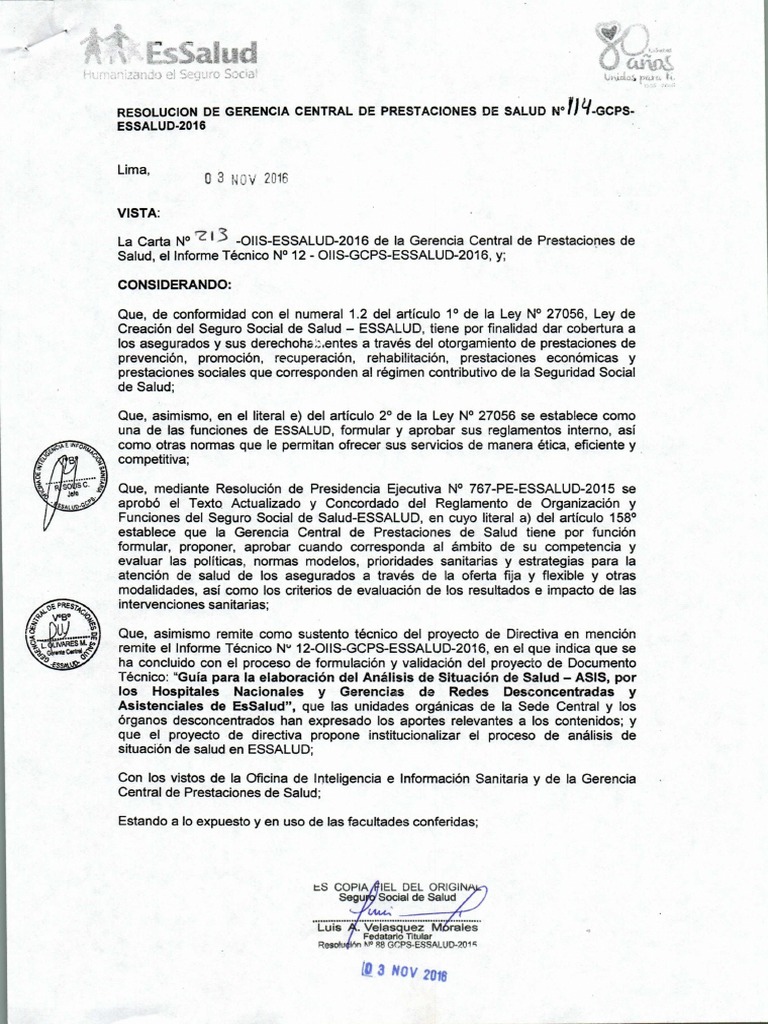 Guia para Elaboracion de Asis Essalud | PDF