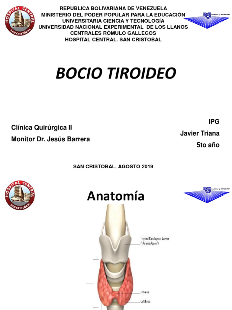 Bocio Tiroideo | PDF | Tiroides | Hipertiroidismo