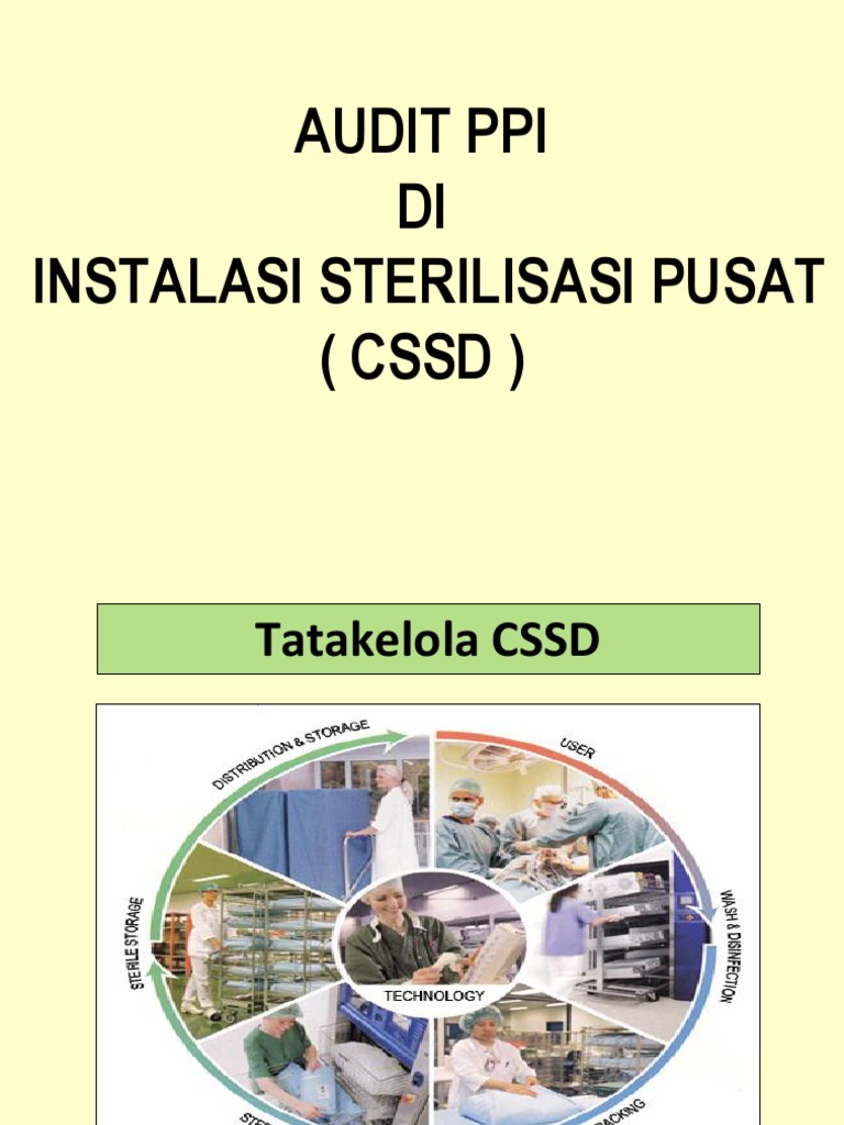 Audit CSSD | PDF
