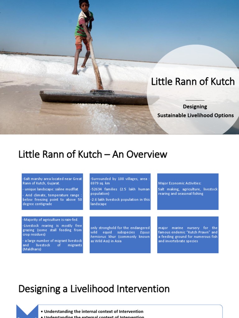 Little Rann of Kutch | PDF | Agriculture | Sustainability