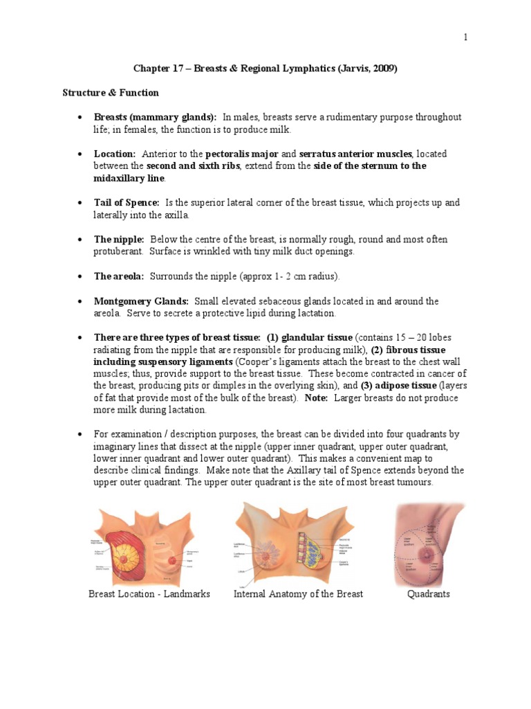 NURS 1094 - Week 12 - Class Notes - Reproductive System | PDF ...