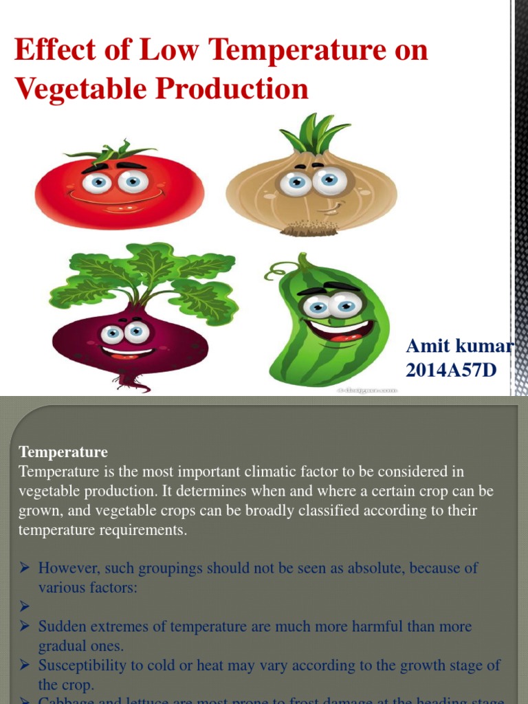 Effect of Low Temperature On Vegetable Production | PDF | Frost | Freezing