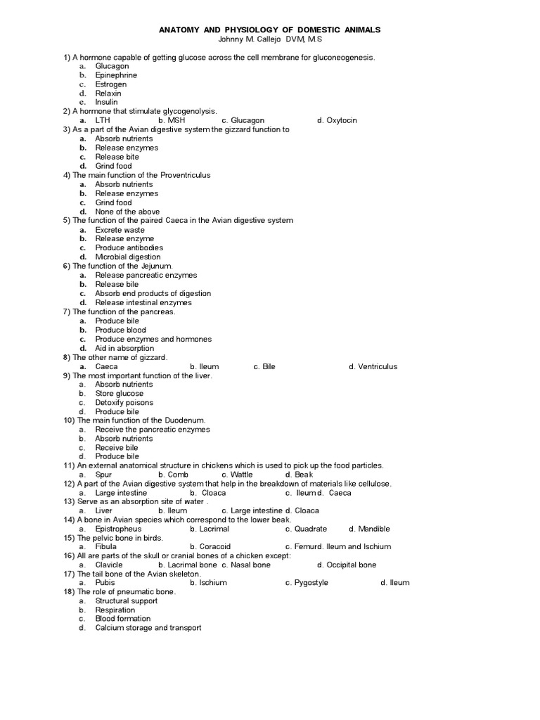 Anatomy and Physiology of Domestic Animals | PDF | Pancreas | Digestion