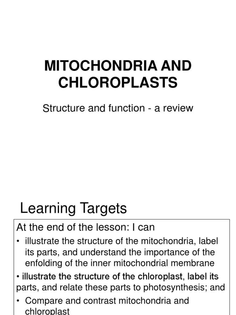 Mitochondria and Chloroplasts: Structure and Function - A Review | PDF ...
