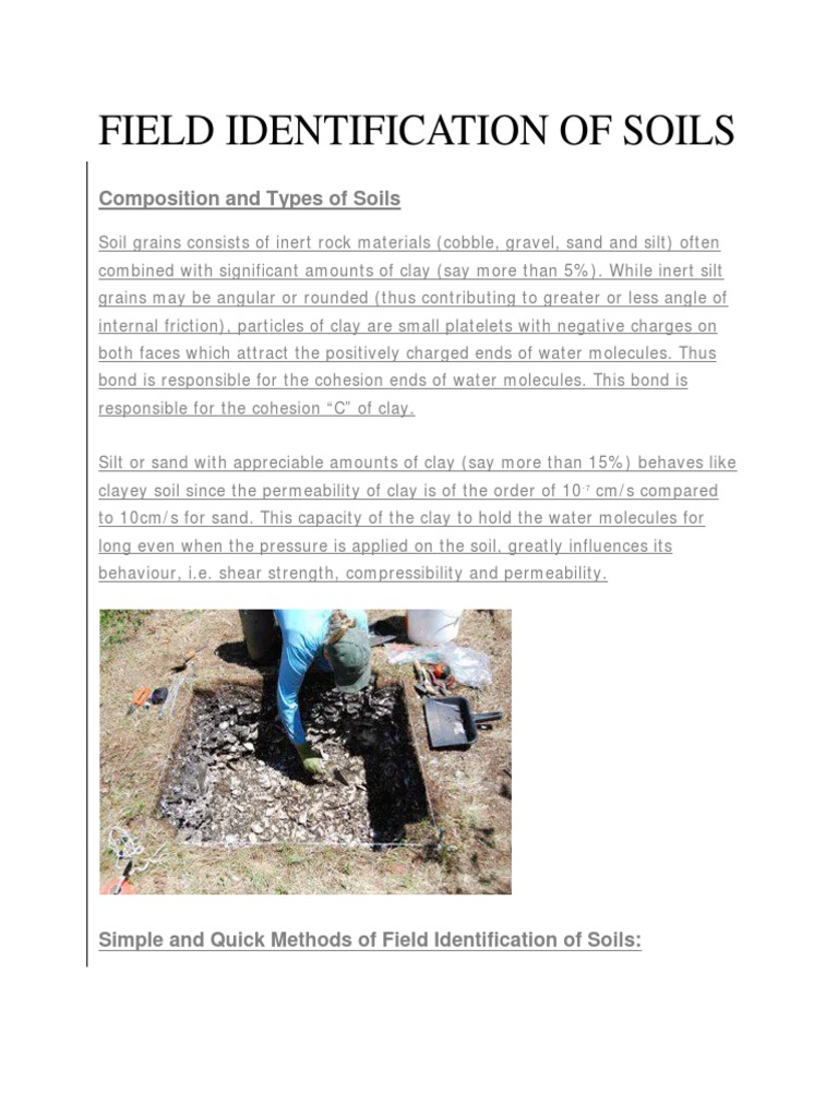 Field Soil Identification Techniques | PDF | Sand | Silt