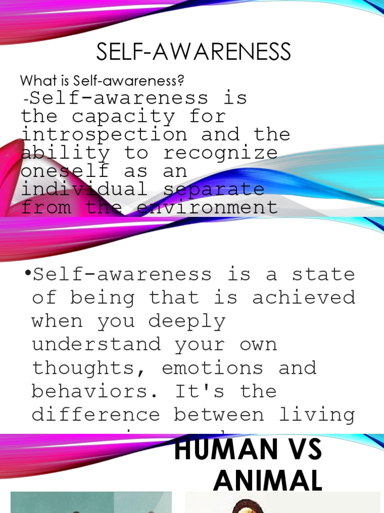 Self Awareness | PDF