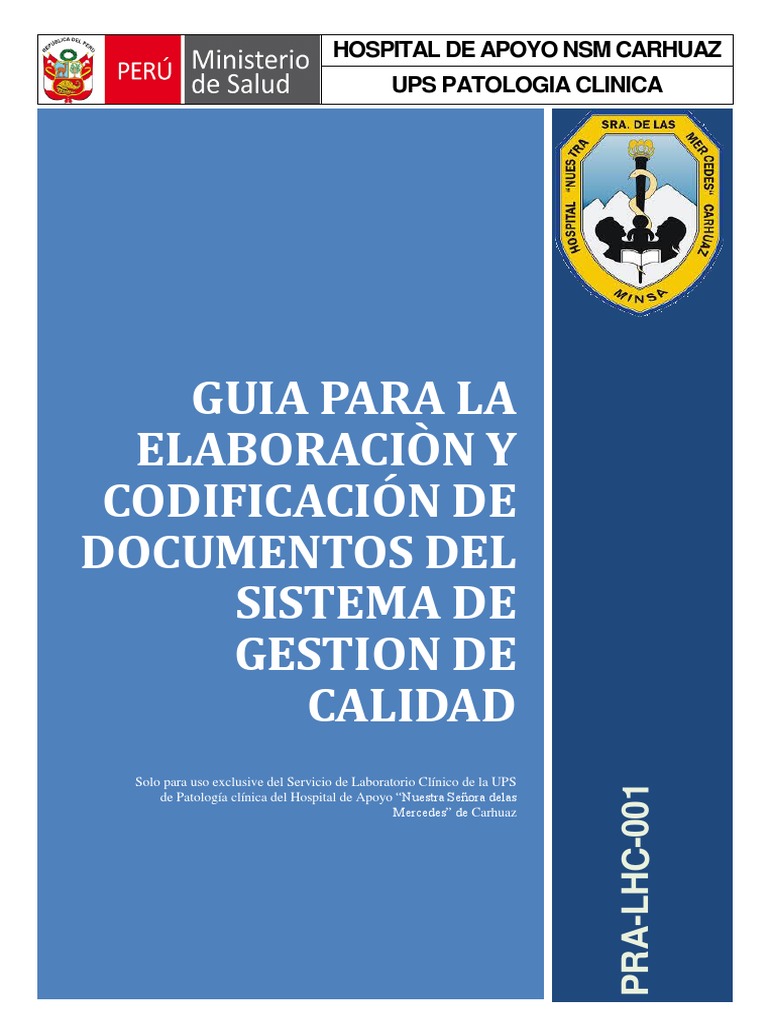 Guia de Codificacion | PDF | Gestión de la calidad | Laboratorios