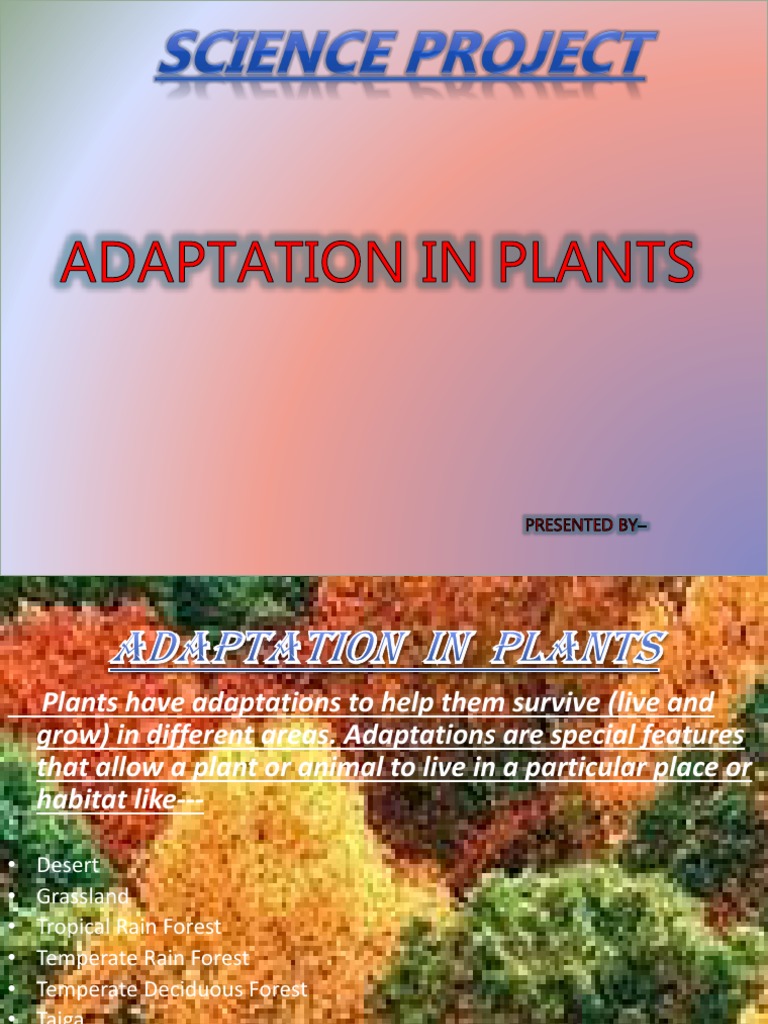 Plant Adaptations Explained | PDF | Trees | Plants