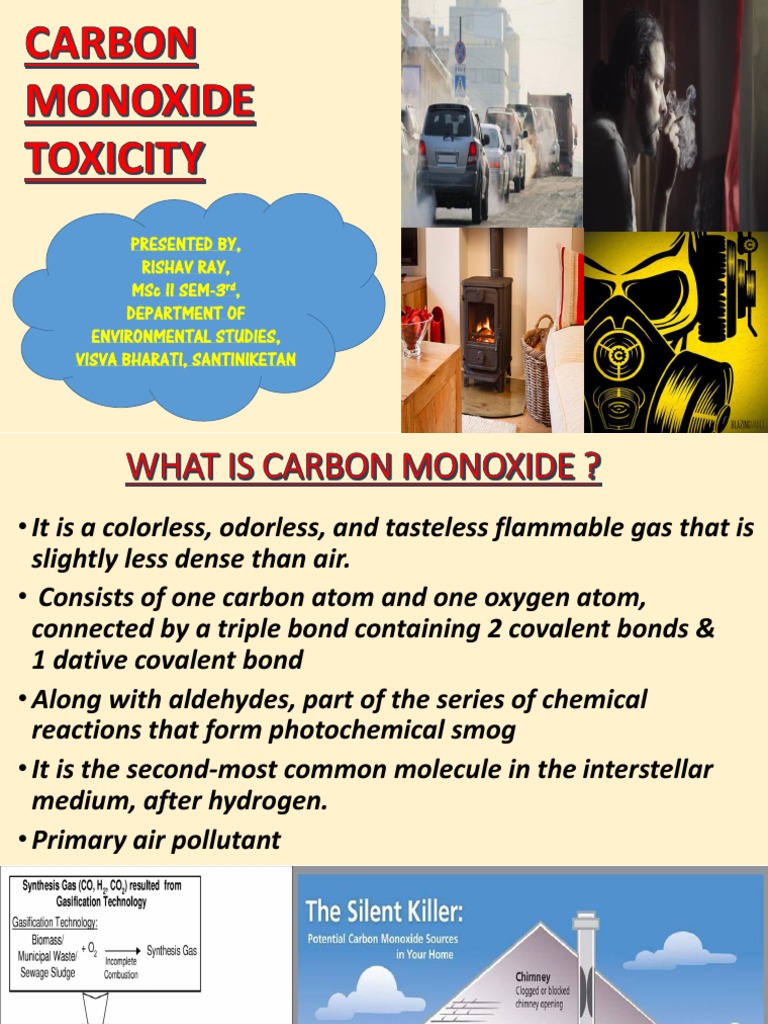 Co Toxicity by Rishav | PDF