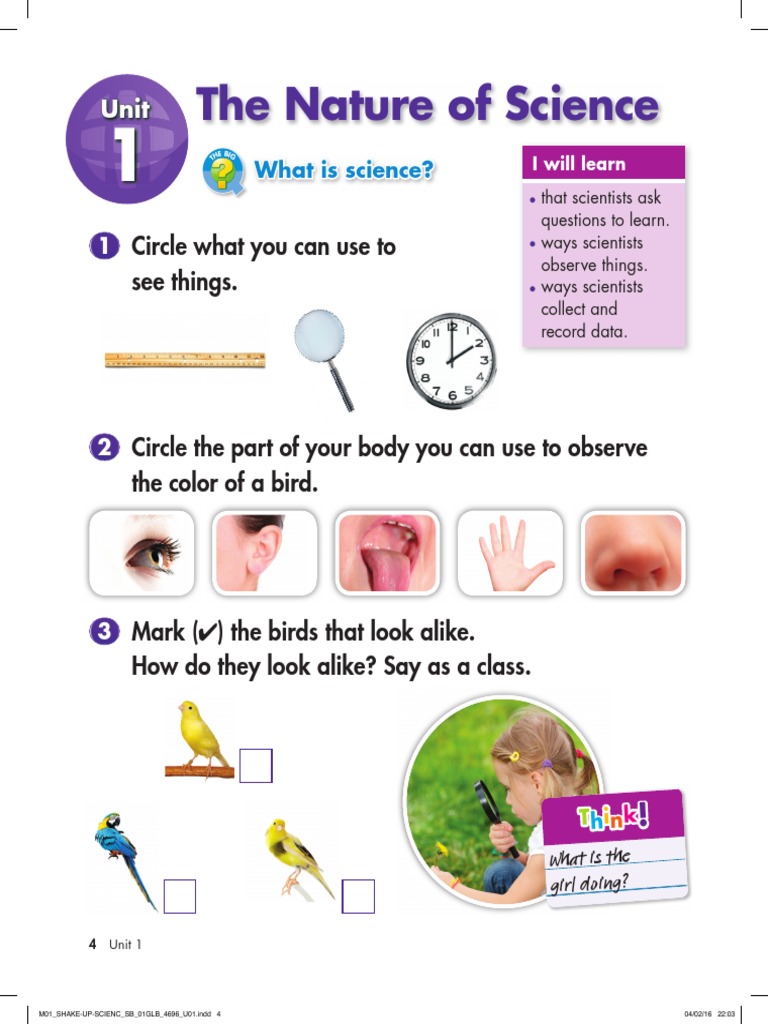 The Nature of Science: Circle What You Can Use To | PDF | Science ...