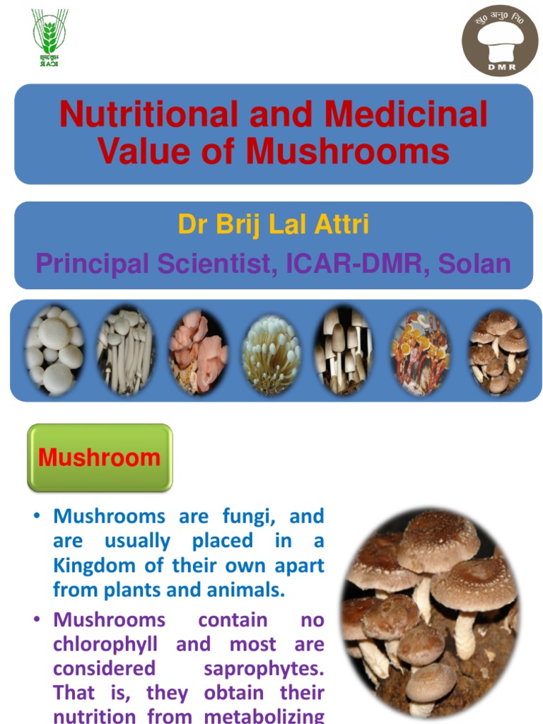 Medicine Value of The Mushroom | PDF | Mushroom | Vitamin