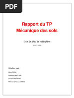 Essai VBS au bleu de méthylène | PDF