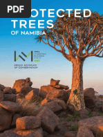 Trees and Botanical Names in Nigeria | PDF | Trees | Plants