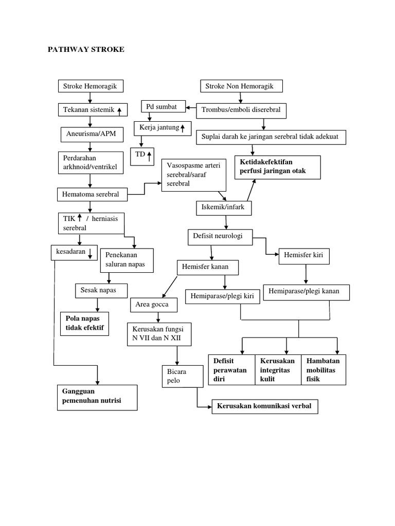 Pathway Stroke: Ketidakefektifan Perfusi Jaringan Otak | PDF