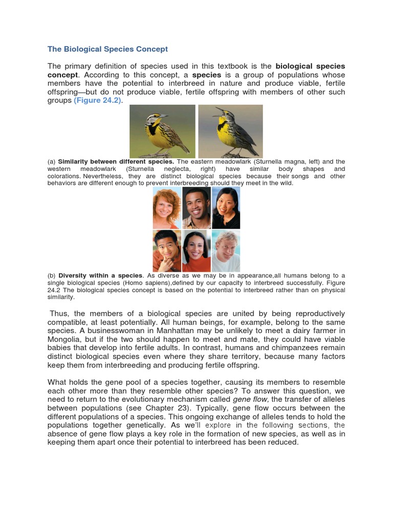 The Biological Species Concept | PDF | Reproduction | Hybrid (Biology)