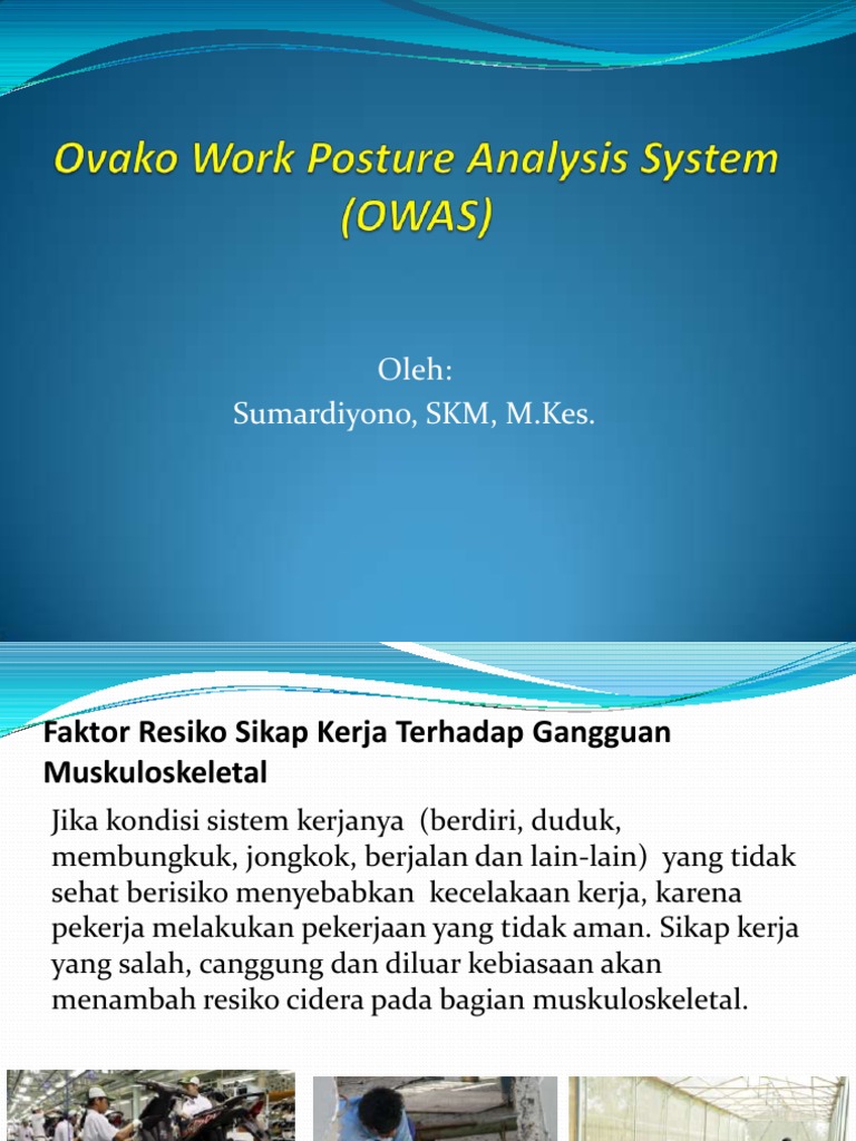 Owas | PDF