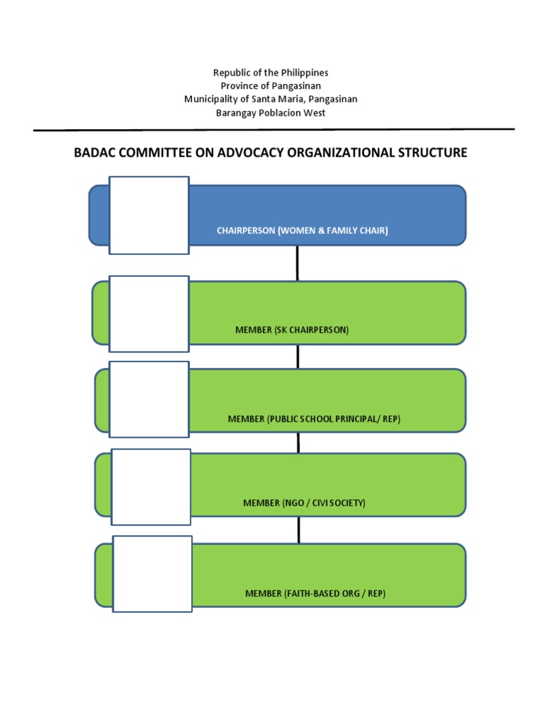 Badacc Org Chart Page1 | PDF