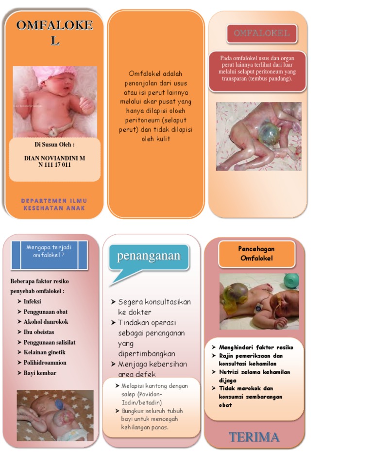 Leaflet HE - Omphalitis | PDF