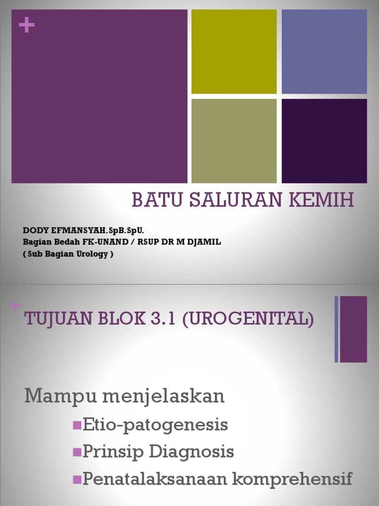 3.1.3.2 Batu Saluran Kemih | PDF | Kidney | Medical Specialties