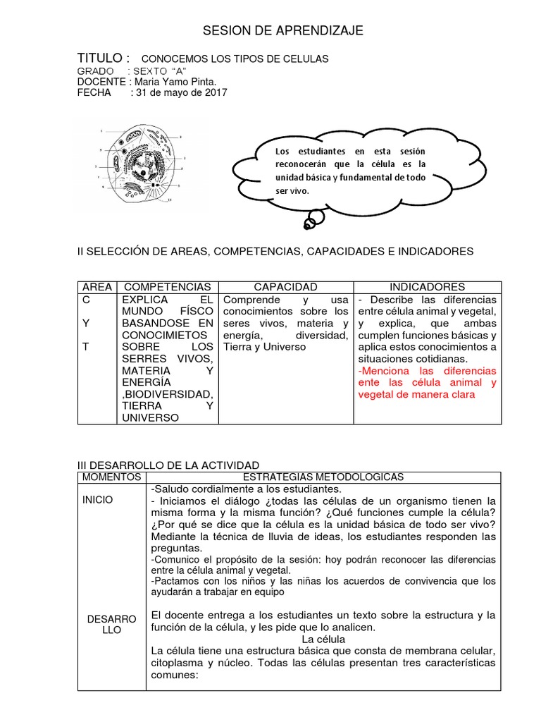 Sesion de Aprendizaje Los Tipos de Celula. 31-05-2017. c.a ... Sesion de Aprendizaje Los Tipos de Celula. 31-05-2017. c.a ...