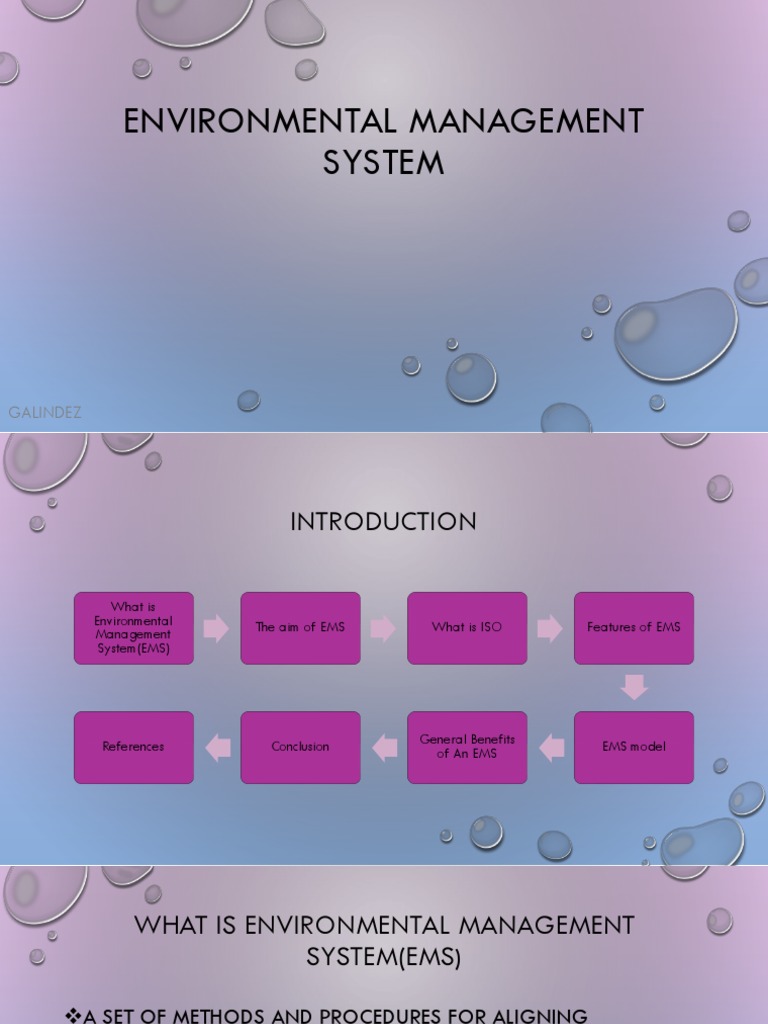 Environmental Management System | PDF | Natural Environment | Environment