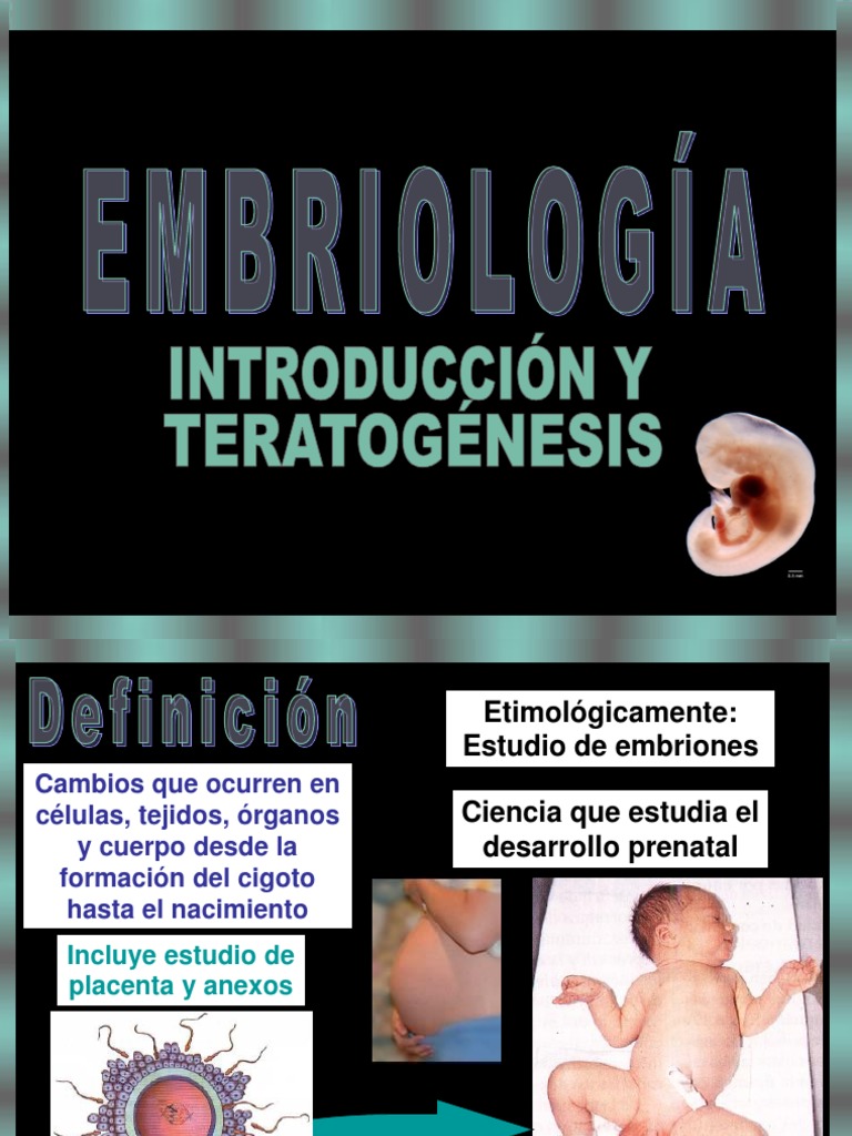 Clase de Teratogenesis | PDF | Mitosis | Mitosis