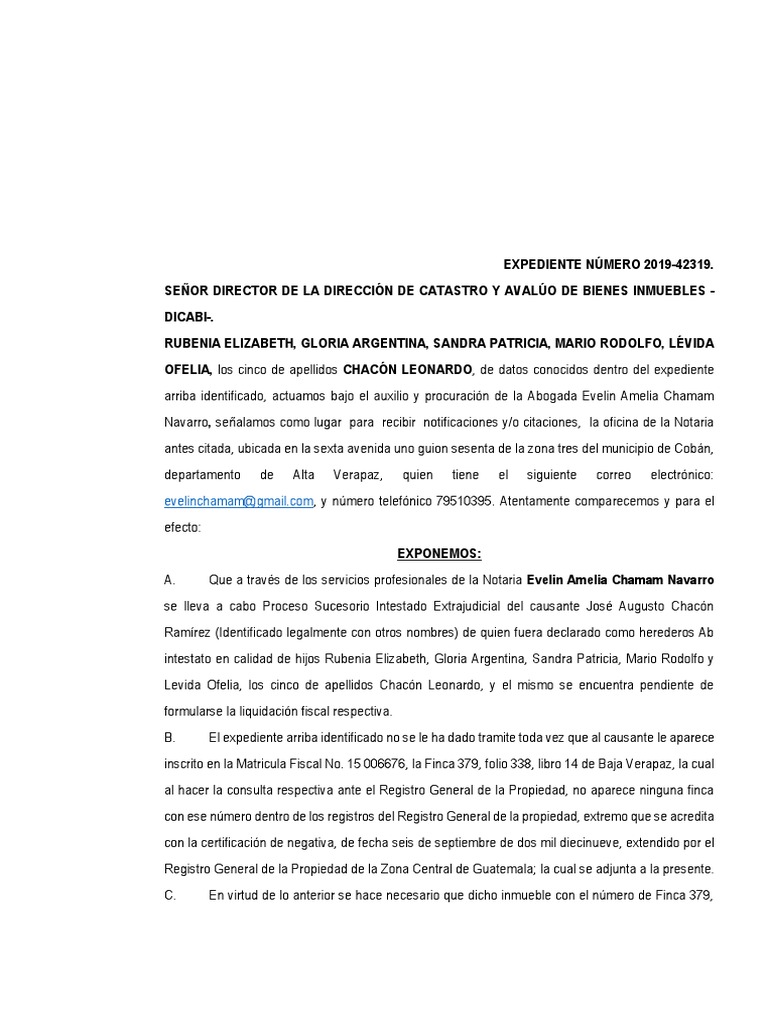 Memorial A Dicabi Subsanando Previo | Descargar gratis PDF | Gobierno