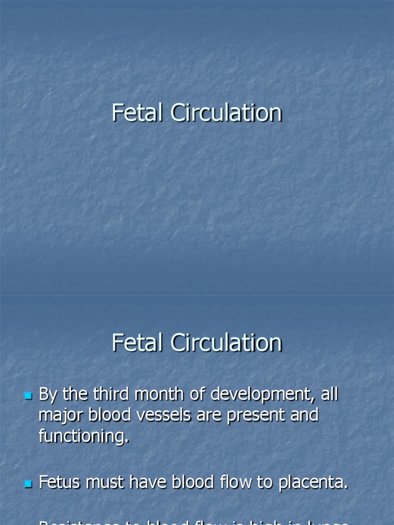 Fetal Circulation | PDF | Circulatory System | Fetus
