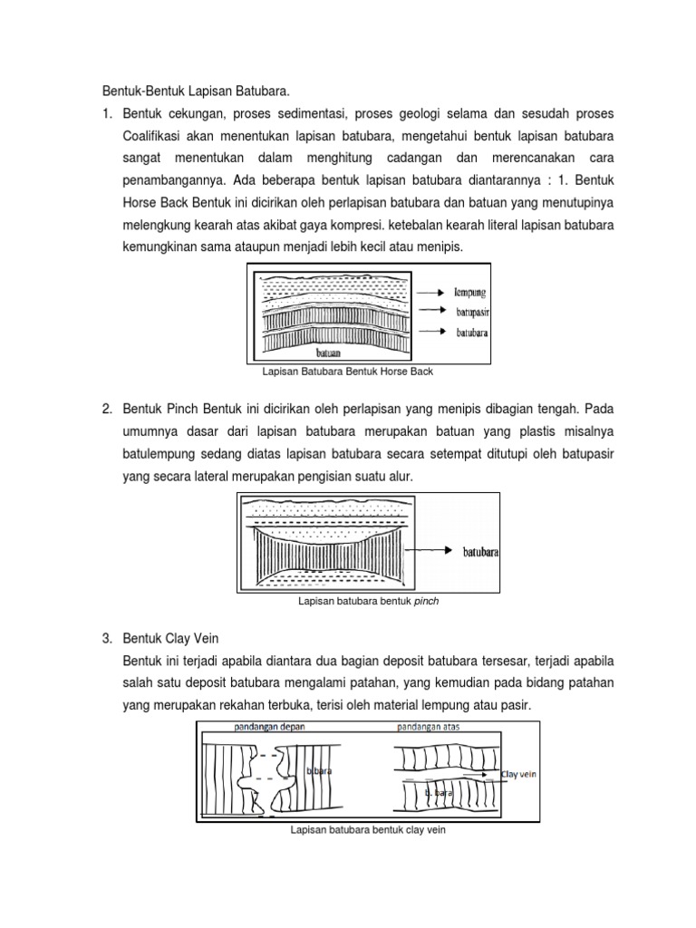 Bentuk Lapisan Batubara | PDF