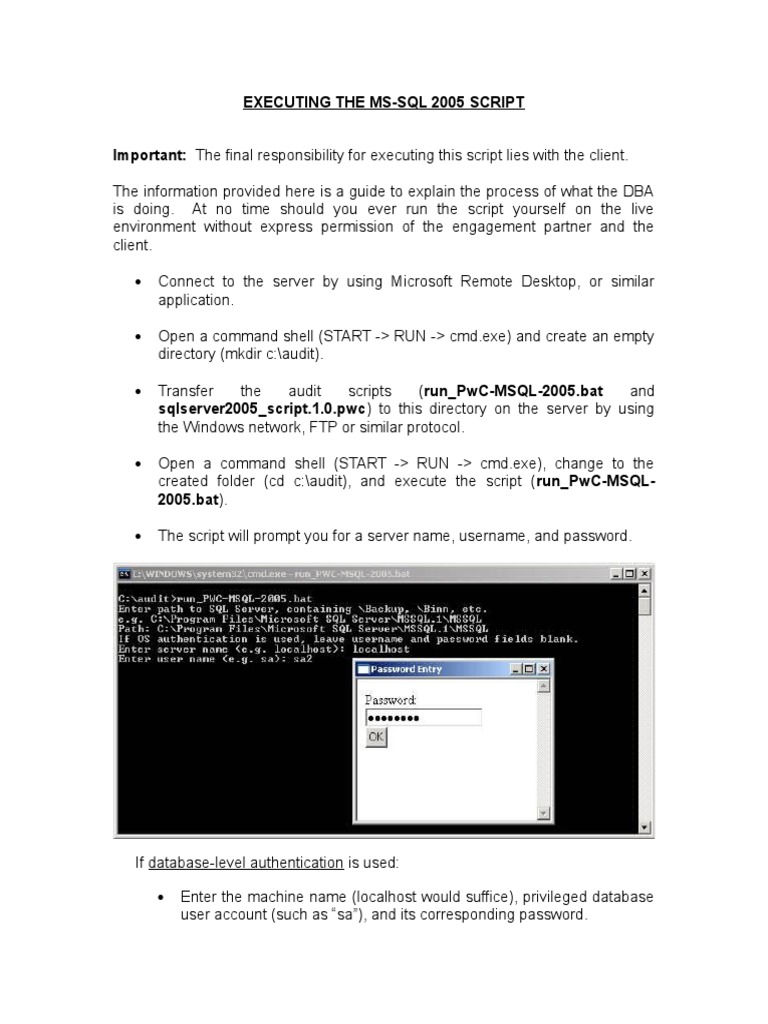 Executing MS-SQL 2005 Audit Script | PDF