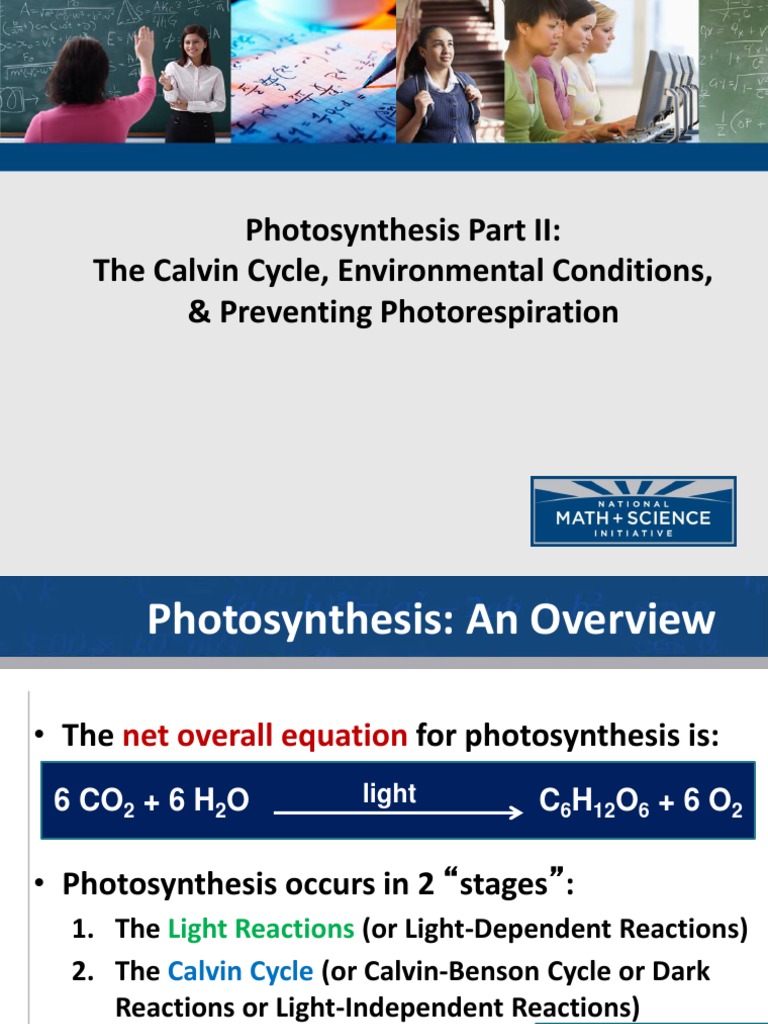 02 Photosynthesis Calvin Cycle Light Independent Reactions | PDF ...