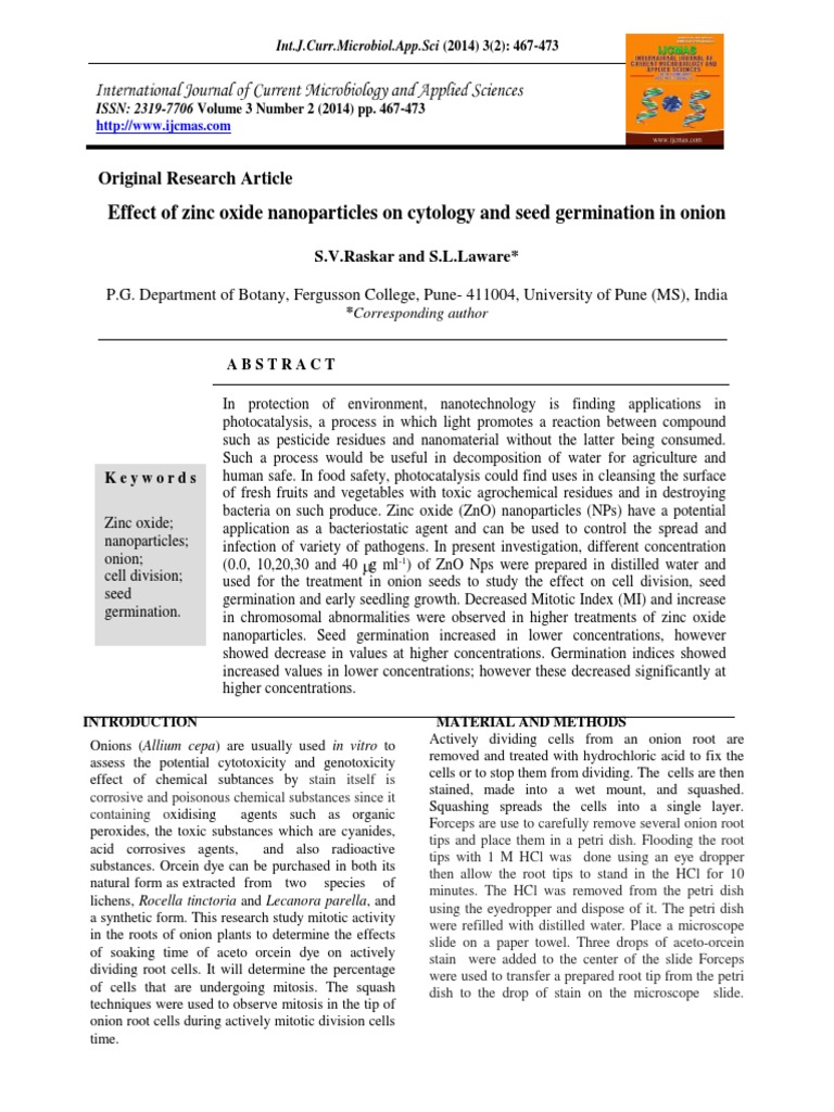Effect of Zinc Oxide Nanoparticles On Cytology and Seed Germination in Onion | PDF | Mitosis ...