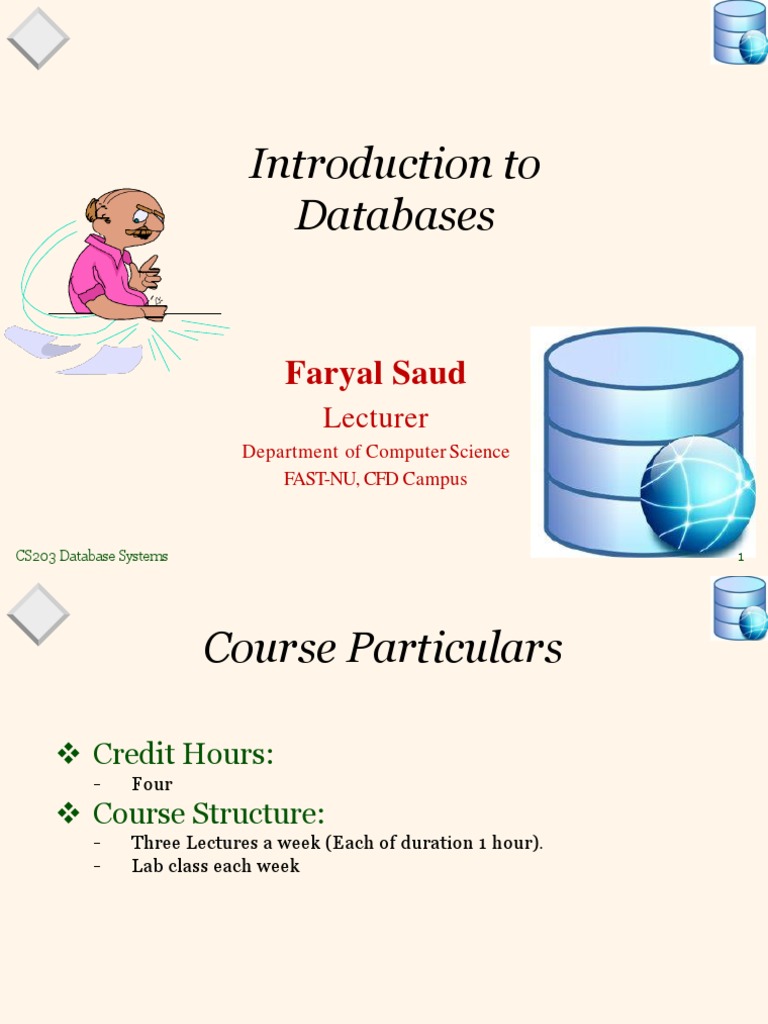Introduction To Databases: Faryal Saud | PDF | Programmer | Databases