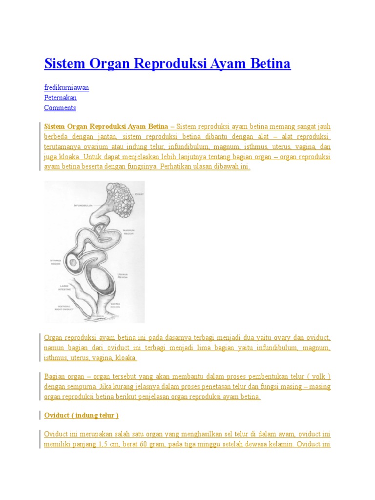 Organ Reproduksi Ayam Betina | PDF