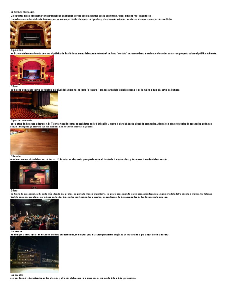 Areas Del Escenario | Descargar gratis PDF | Teatro | Las emociones