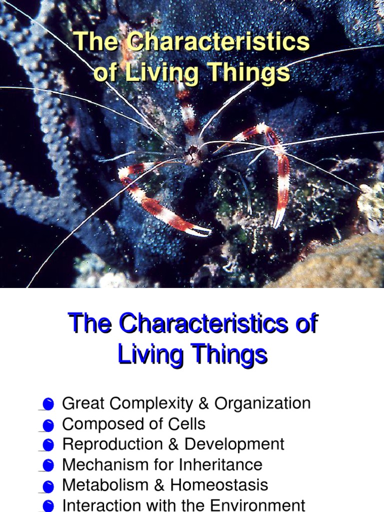 Characteristics of Living Thing | PDF | Cell (Biology) | Life
