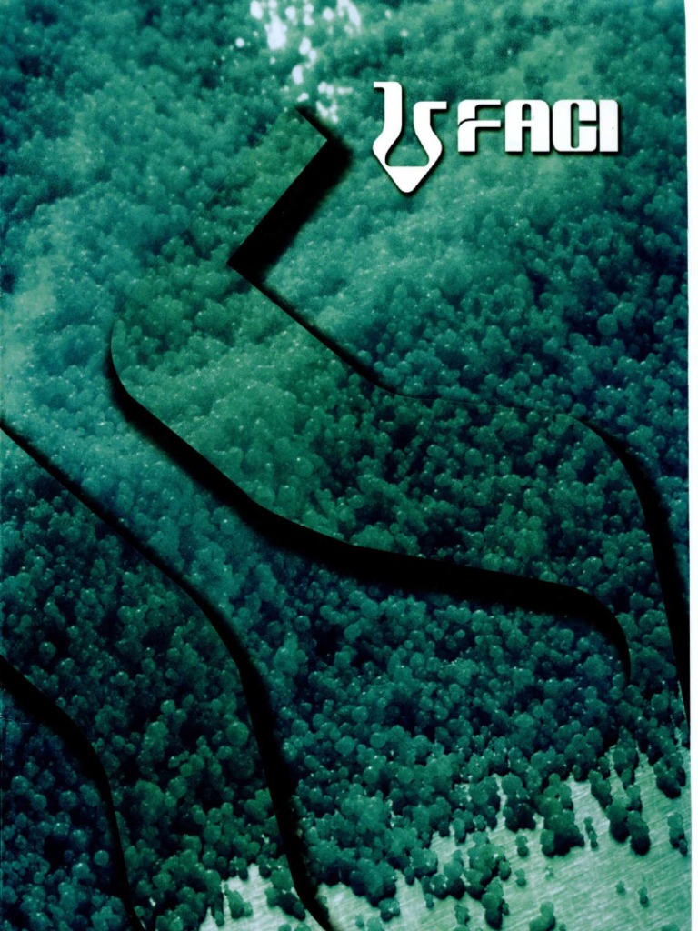 FACI Brochure Compressed | PDF
