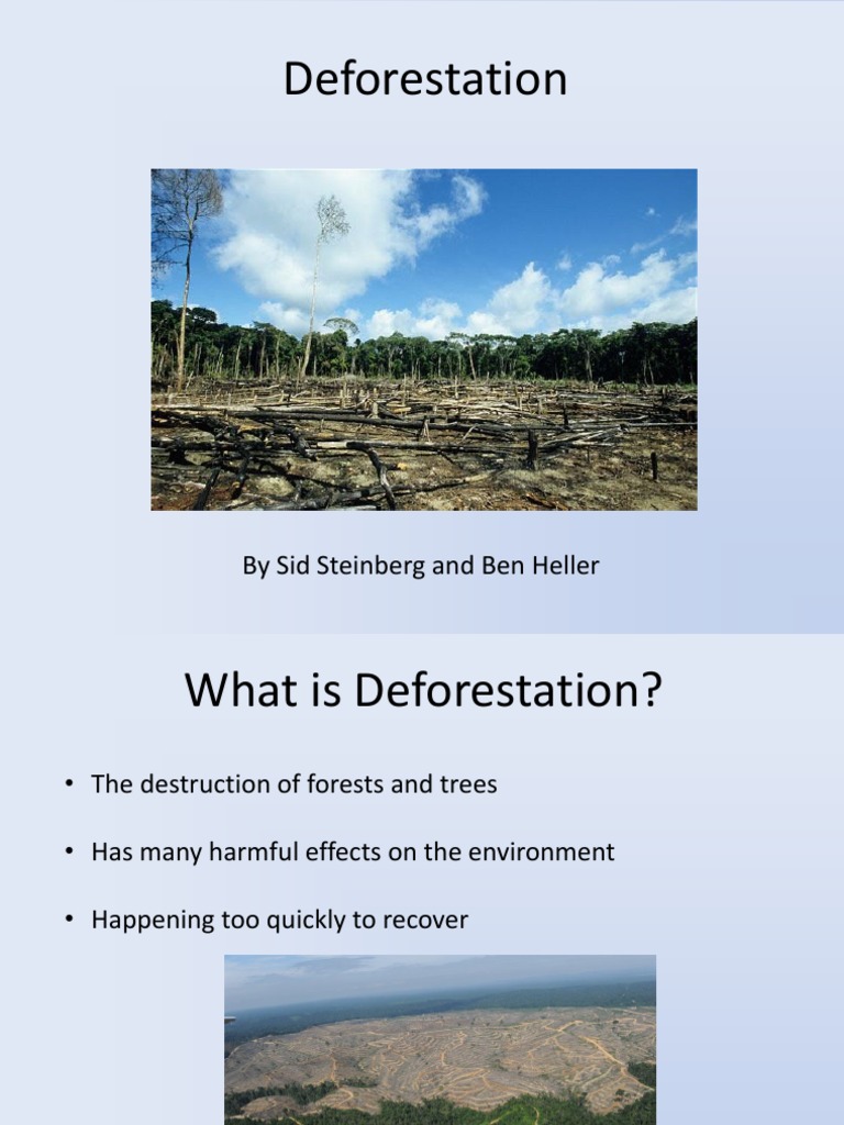 Deforestation | PDF | Deforestation | Rainforest